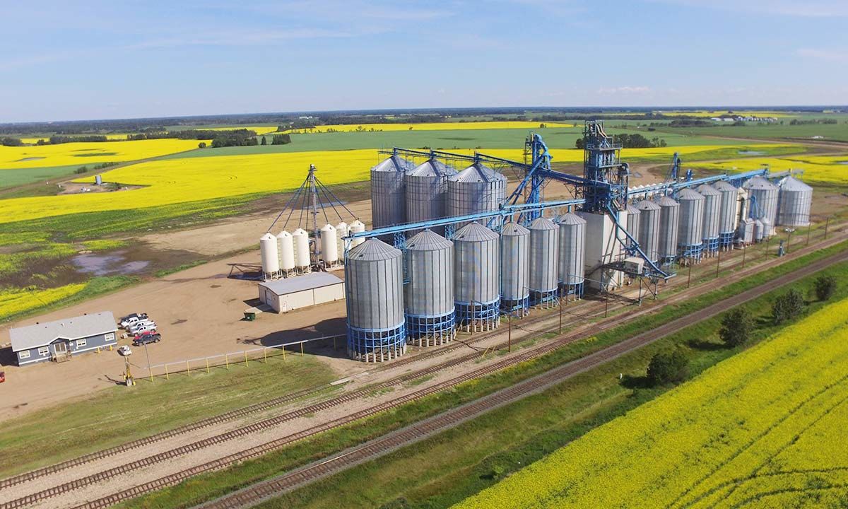 Providence Grain Solutions | Locally grown. Globally connected.