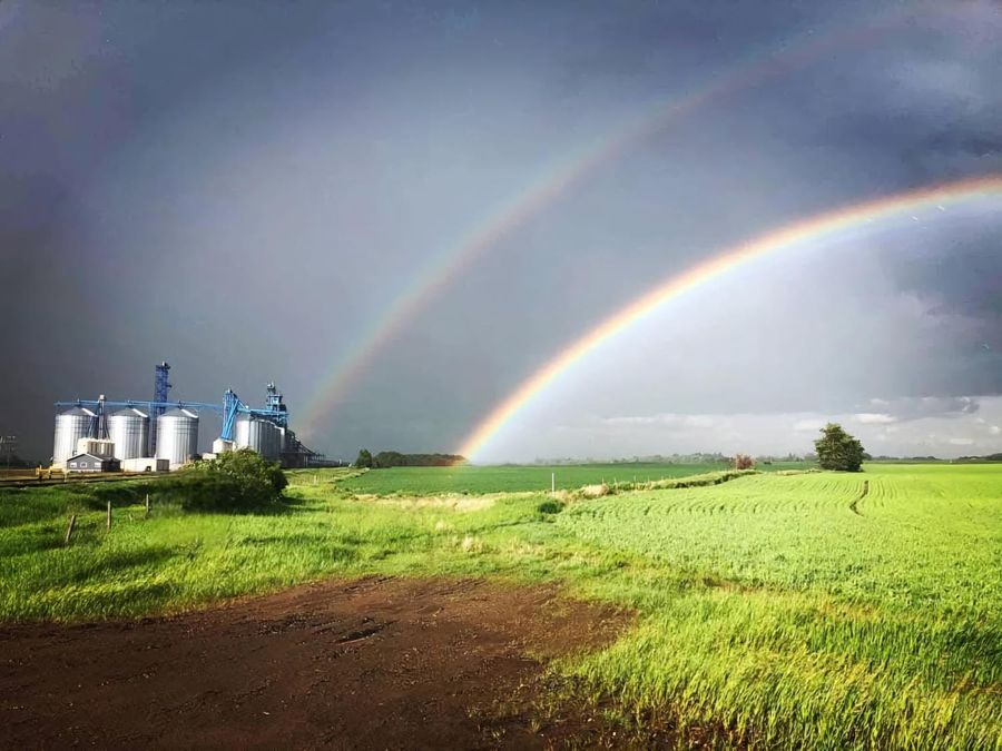 Got Heated Canola? We Have a Market for It! – Providence Grain ...